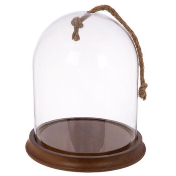 Home | Accents | Glass Dome Terrarium Display Case With Wood Base Short ...